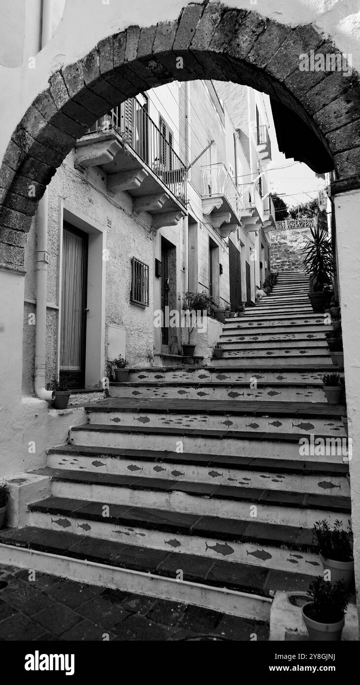 The colorful alleys of Carloforte, the main town on the Island of San ...