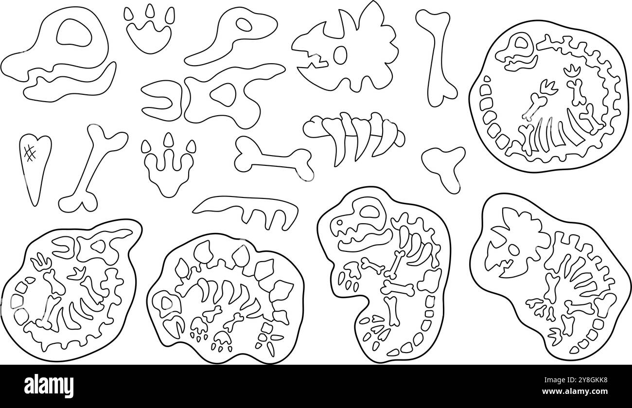 Vector black and white dinosaur bones, skeletons, skulls set ...