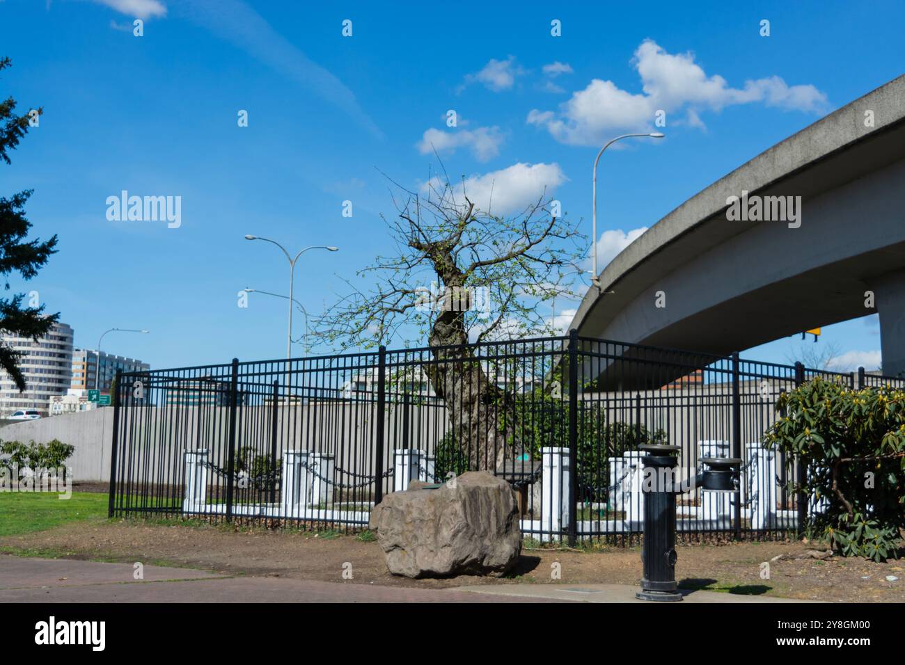 Washington apple tree hi-res stock photography and images - Alamy