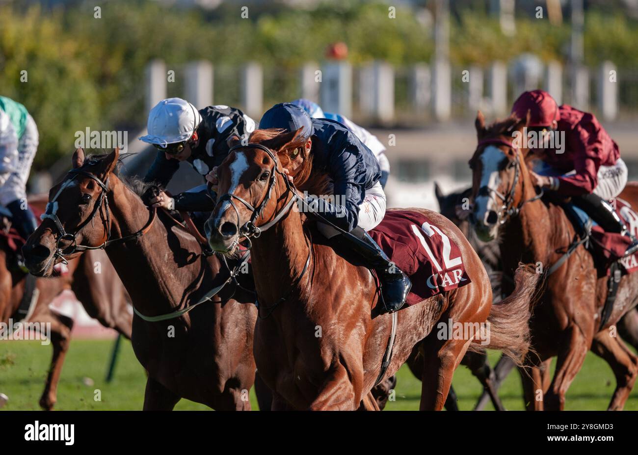 Group 1 qatar prix de royallieu hi-res stock photography and images - Alamy
