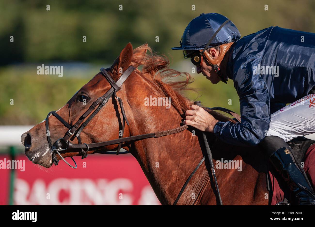 Mrs j magnier hi-res stock photography and images - Alamy