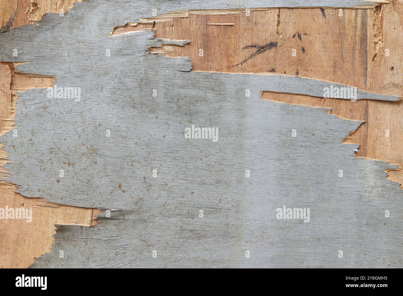 peeled off layers and damaged plywood background, old aged wooden board ...