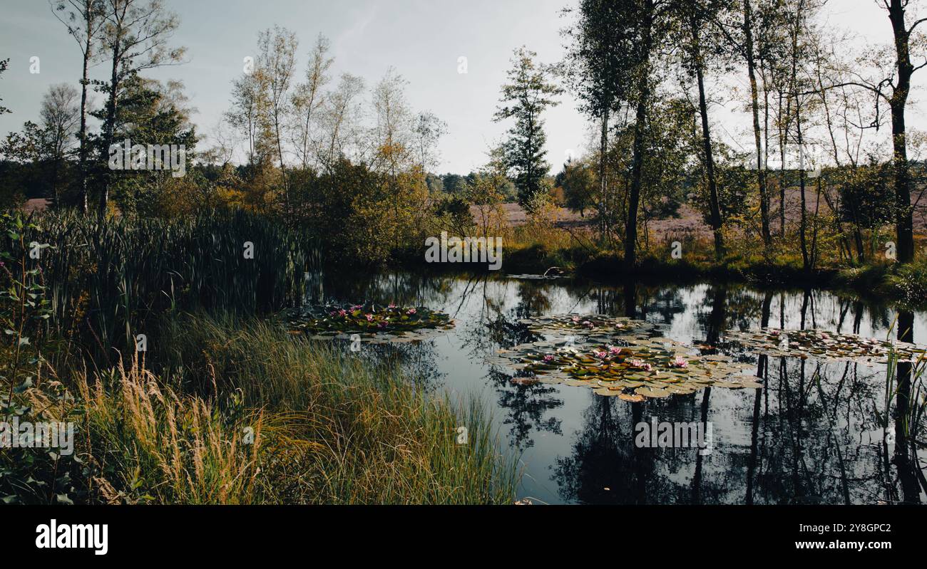 Natural attractions in Germany Fairy ponds in the Buesenbachtal in ...