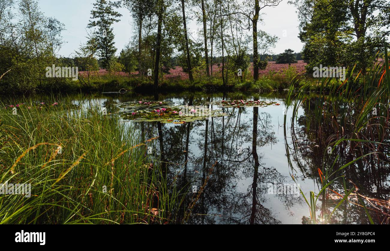 Natural attractions in Germany Fairy ponds in the Buesenbachtal in ...
