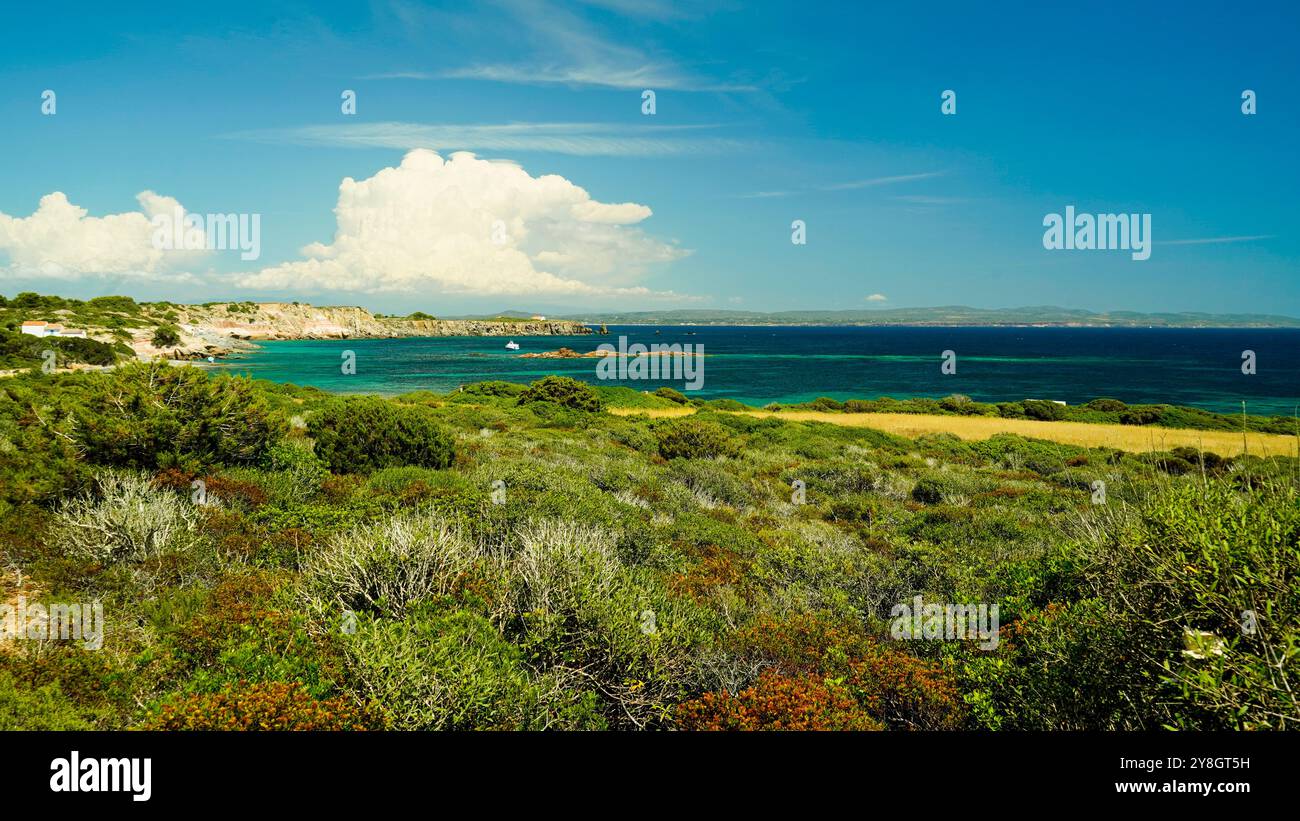 Desert beach at the southern end of San Pietro Island.,Southern ...