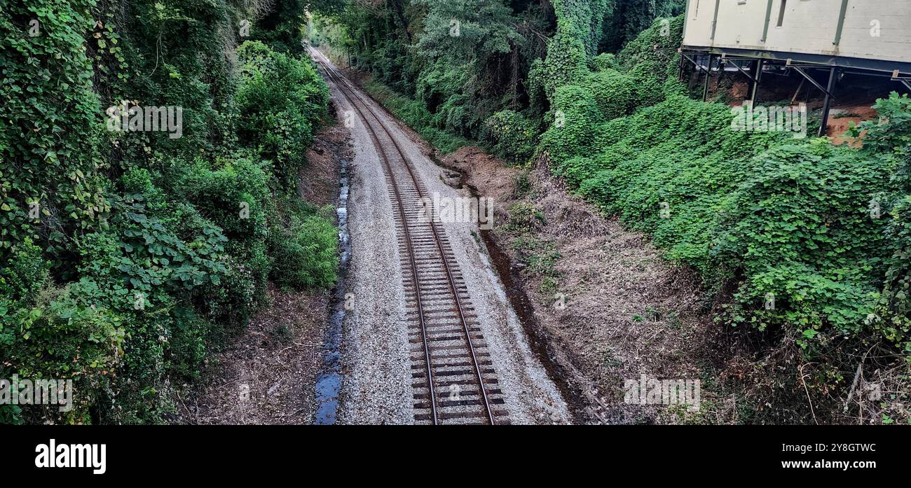 Forest area with a railroad track Stock Photo - Alamy