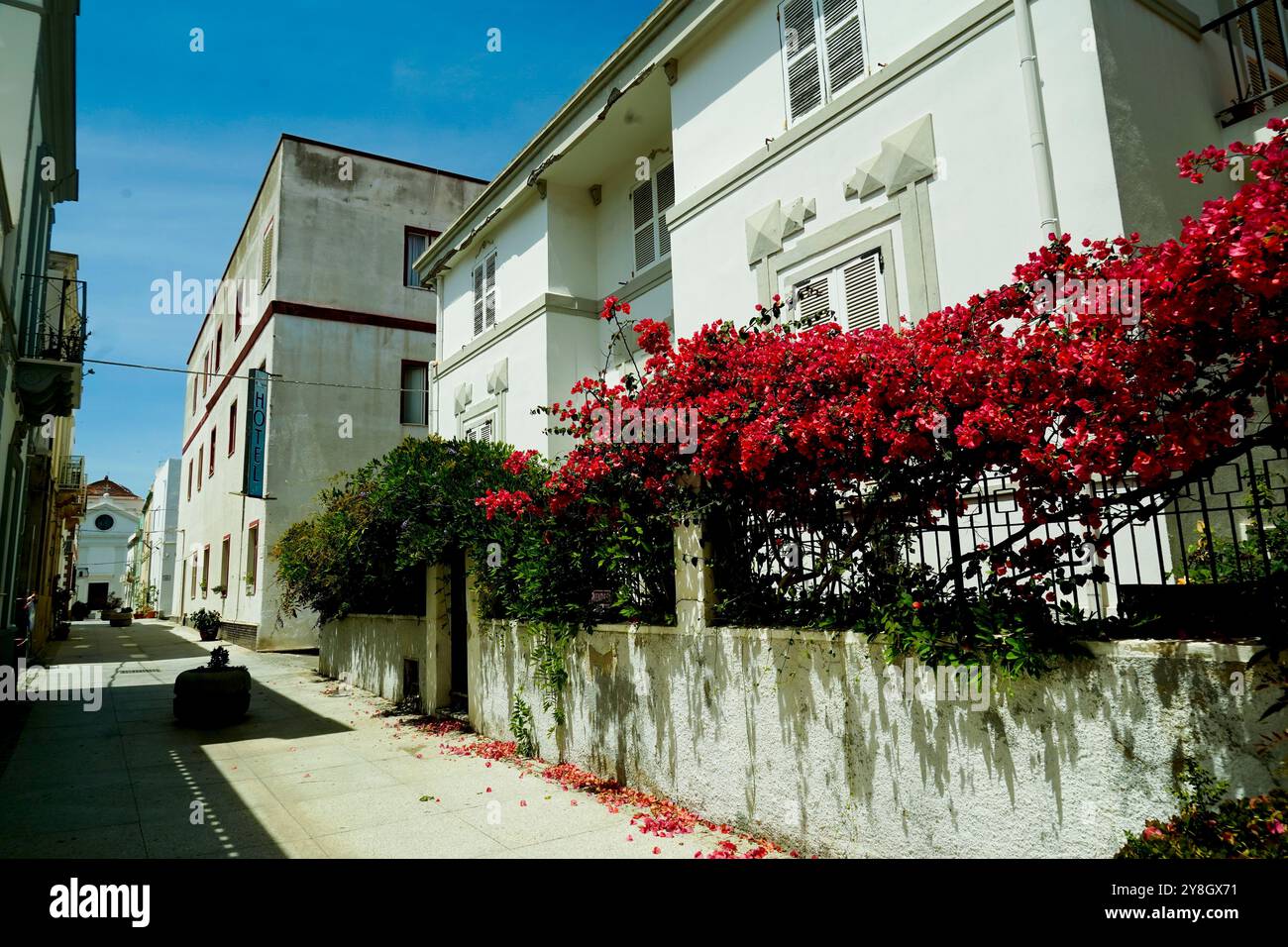 The seaside village and the white houses of Calasetta in the island of ...