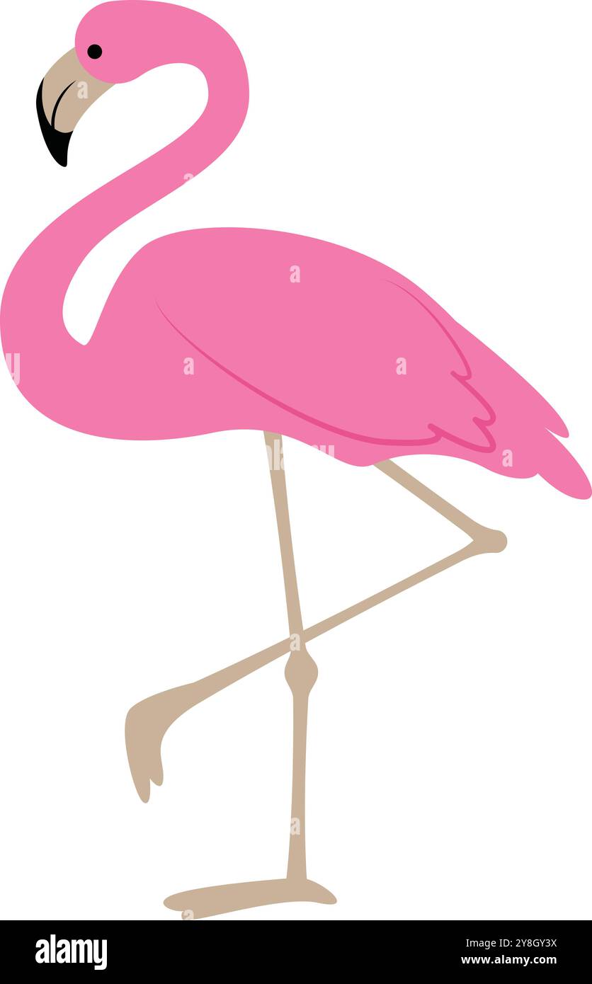 Flamingo Clip Art Graphic Isolated. A pink flamingo exotic bird in ...
