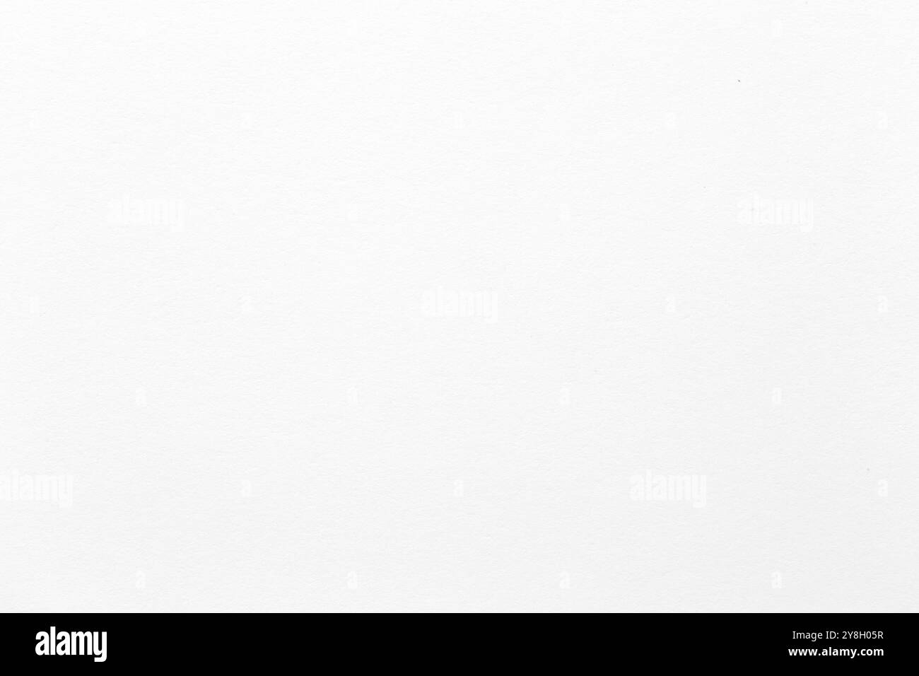 White bright cardboard background. High quality texture in extremely ...