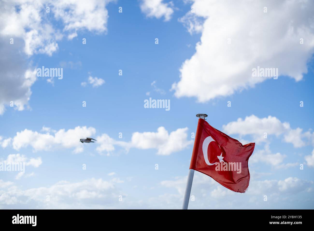 Flowing turkish flag with flyinf bird and cloudy sky as a symbol of ...