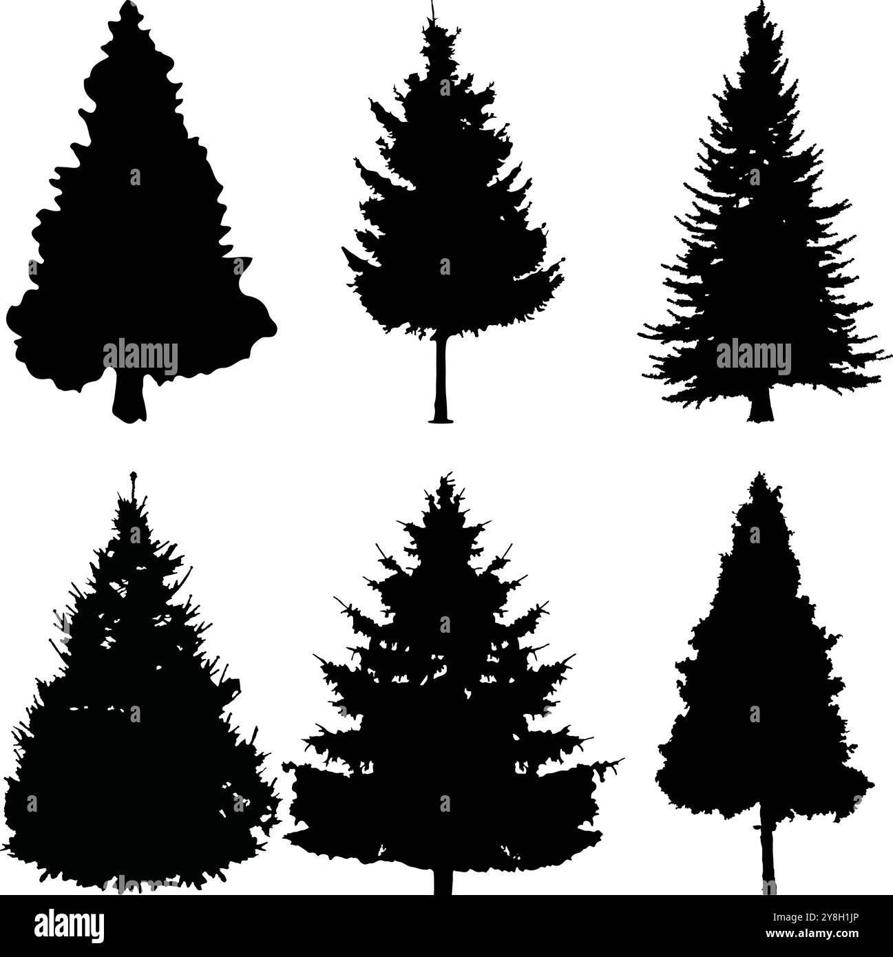 Realistic Pine Trees Shape Set Isolated. A set of realistic pine tree ...