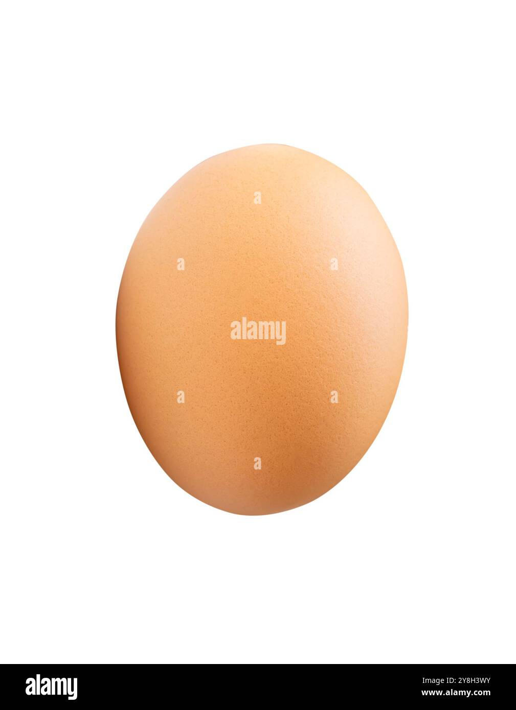 Top view of single brown chicken egg is isolated on white background ...