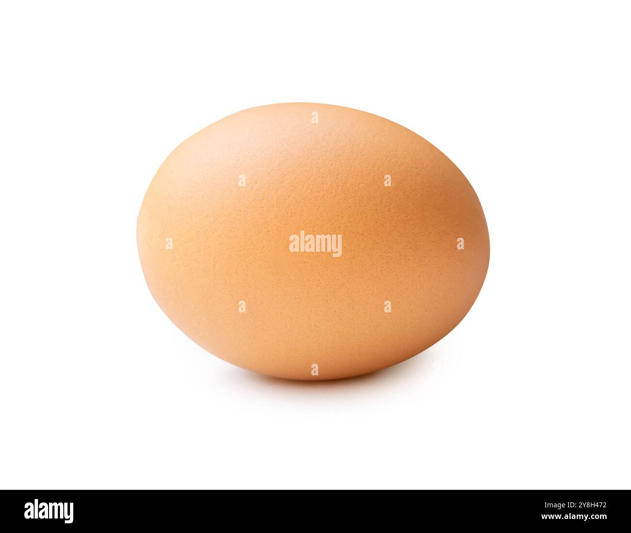 Side view of single brown chicken egg is isolated on white background ...