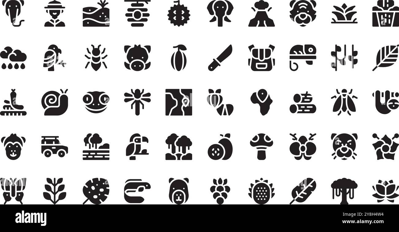 Rainforest icons High-Quality Vector Icons Collection with Editable ...
