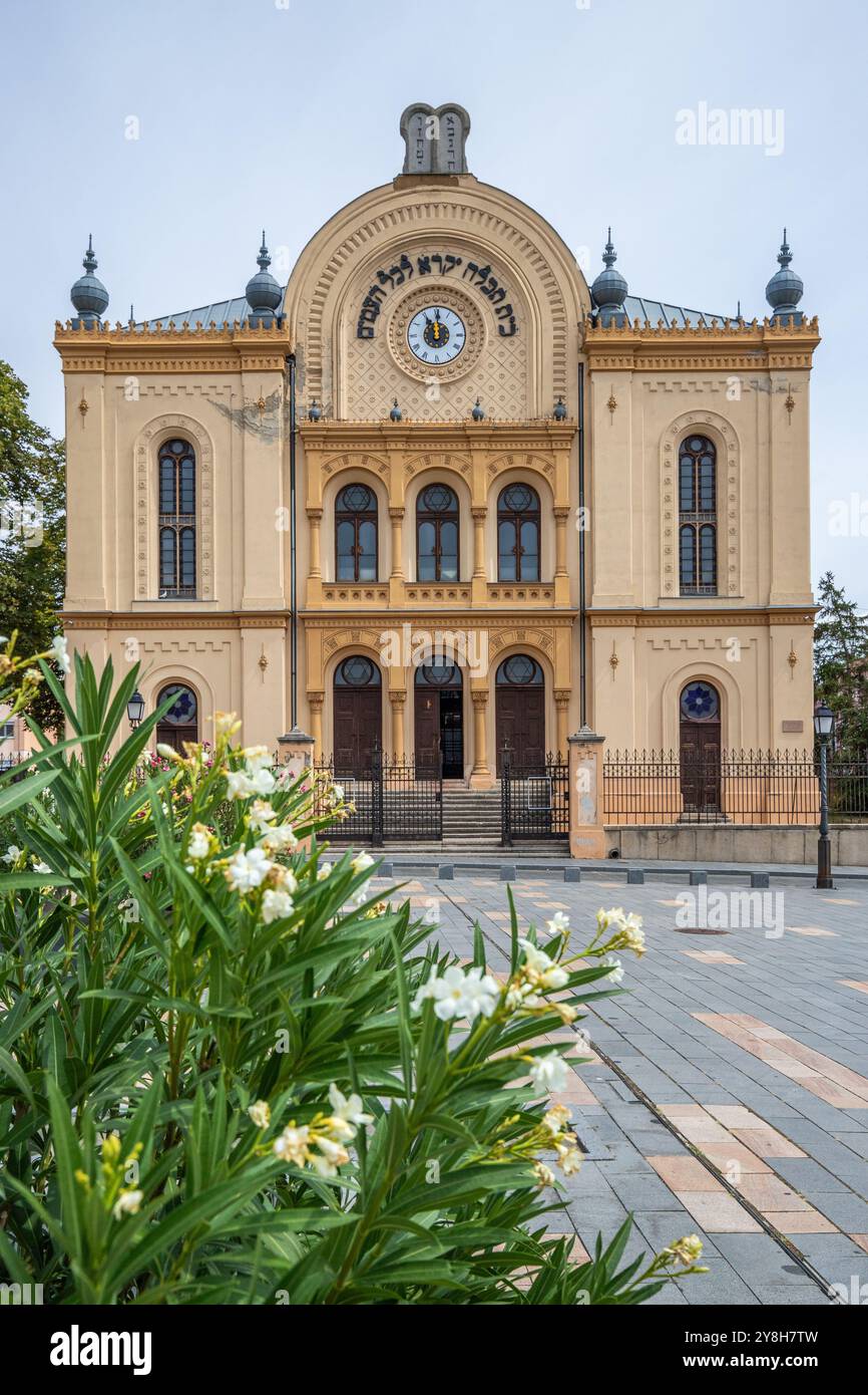 Pecs synagogue hi-res stock photography and images - Alamy