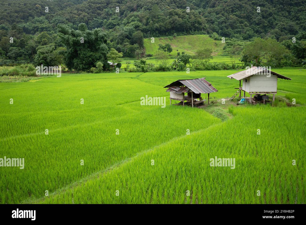Top view country cottage terrace hi-res stock photography and images ...