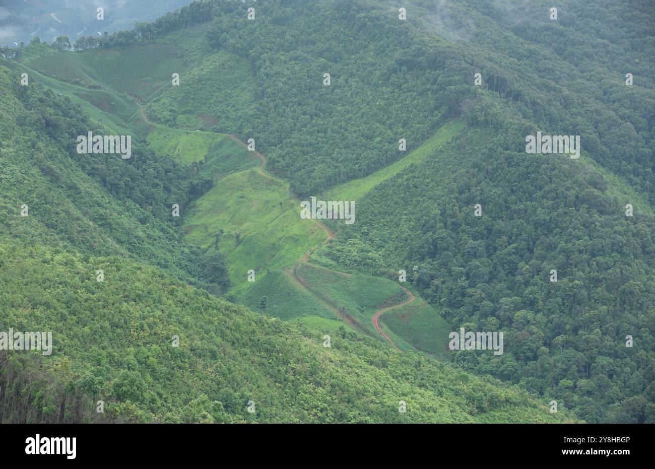 Landscape of plantation area among green forest on complicated hill in ...