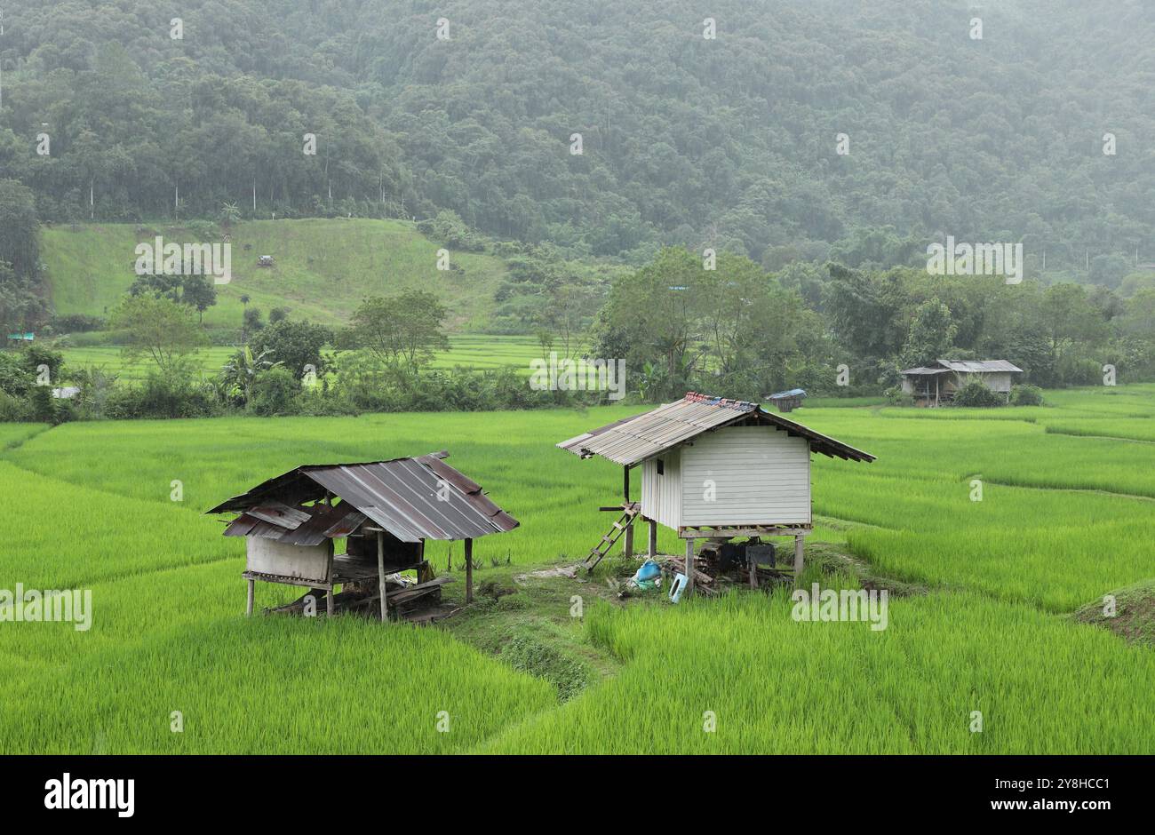 Top view country cottage terrace hi-res stock photography and images ...