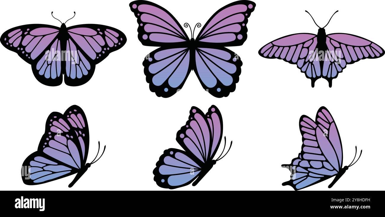 Vibrant Colorful Butterfly Set. A set of colorful pink and purple ...