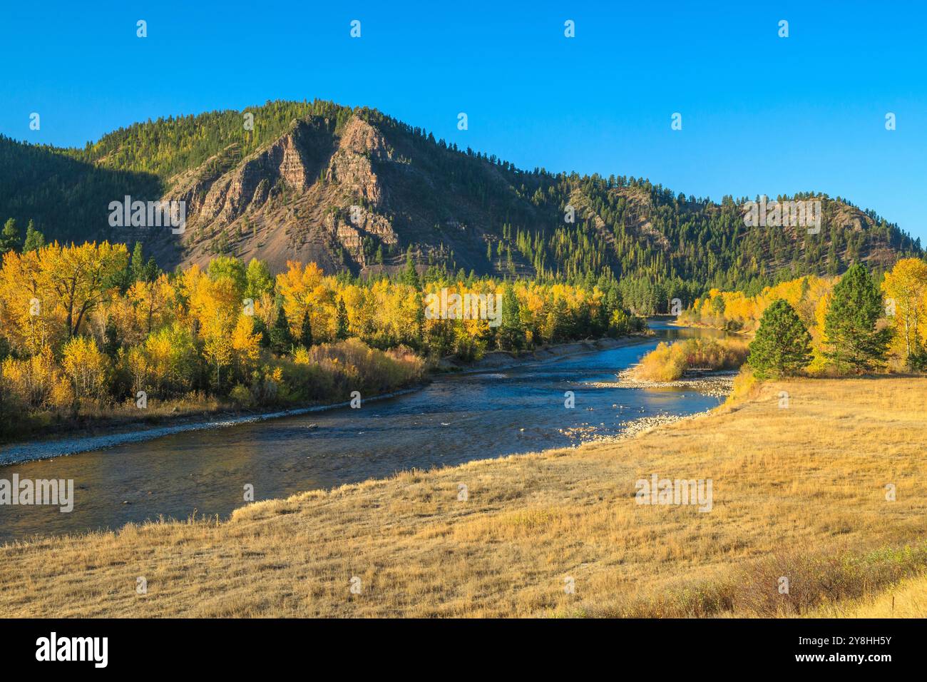fall colors and cliffs along the blackfoot river near ovando, montana ...