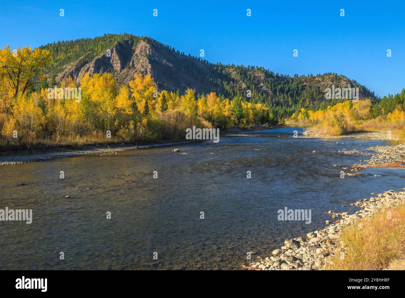fall colors and cliffs along the blackfoot river near ovando, montana ...