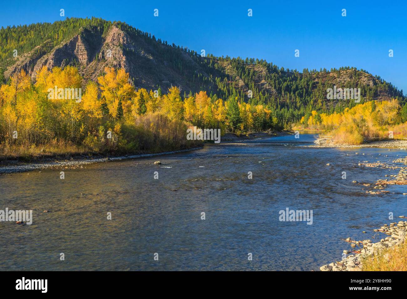 fall colors and cliffs along the blackfoot river near ovando, montana ...