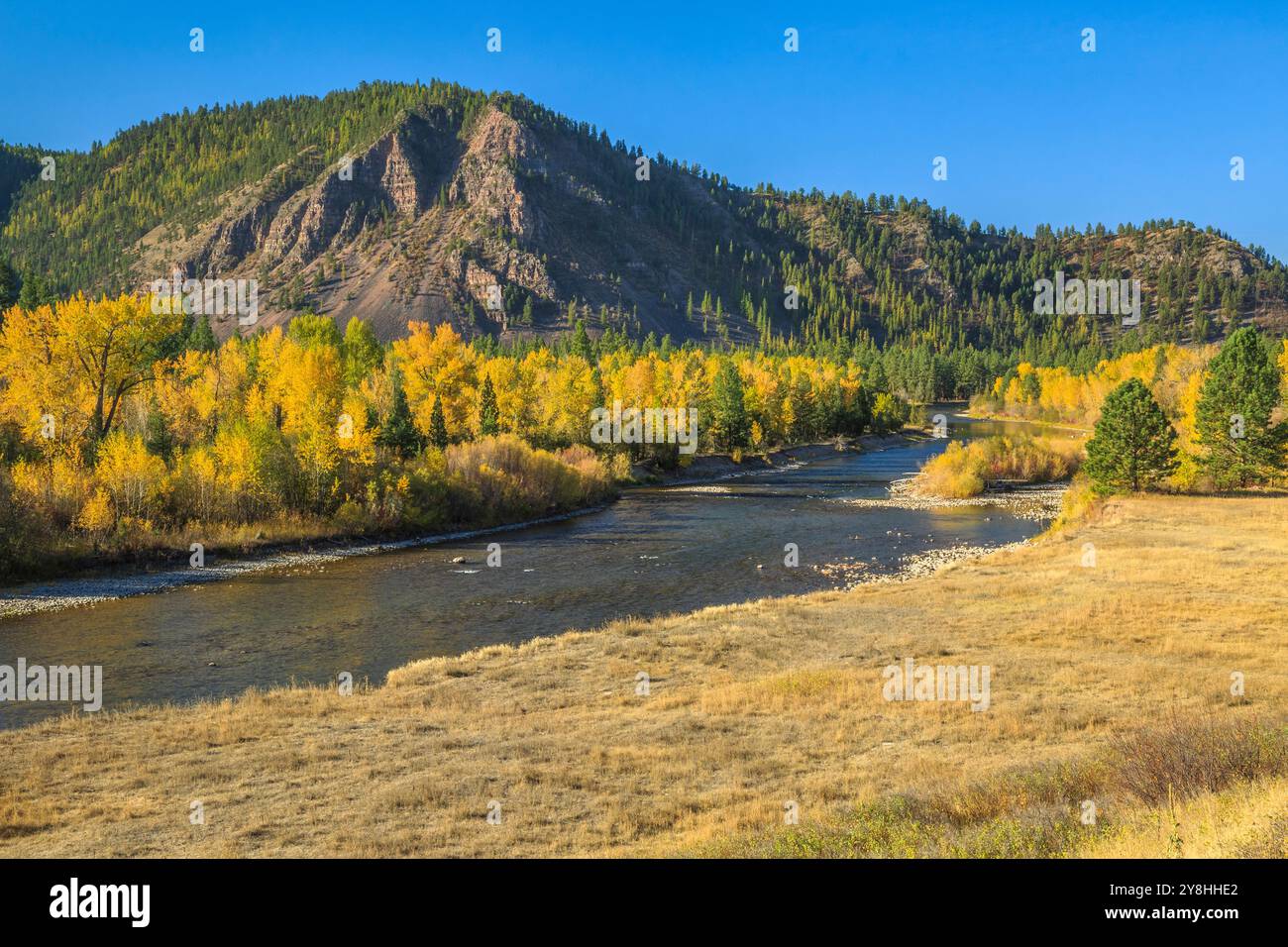 fall colors and cliffs along the blackfoot river near ovando, montana ...