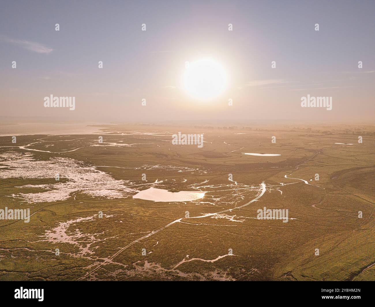 Salt meadow and field in front of Mont Saint Michel in Normandy, France ...
