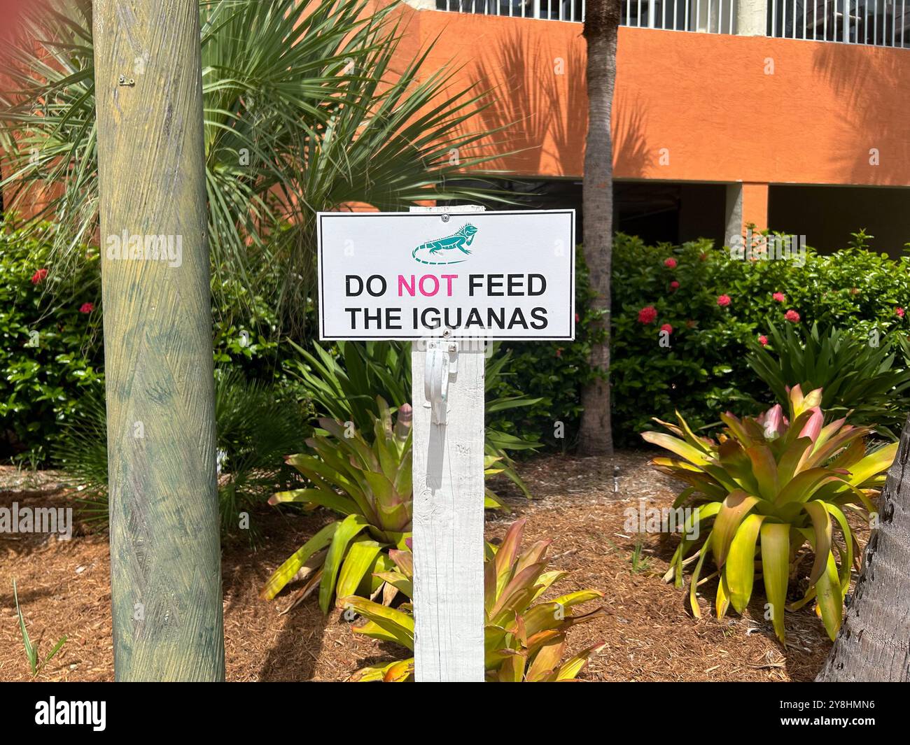Do Not Feed The Iguanas sign Stock Photo - Alamy