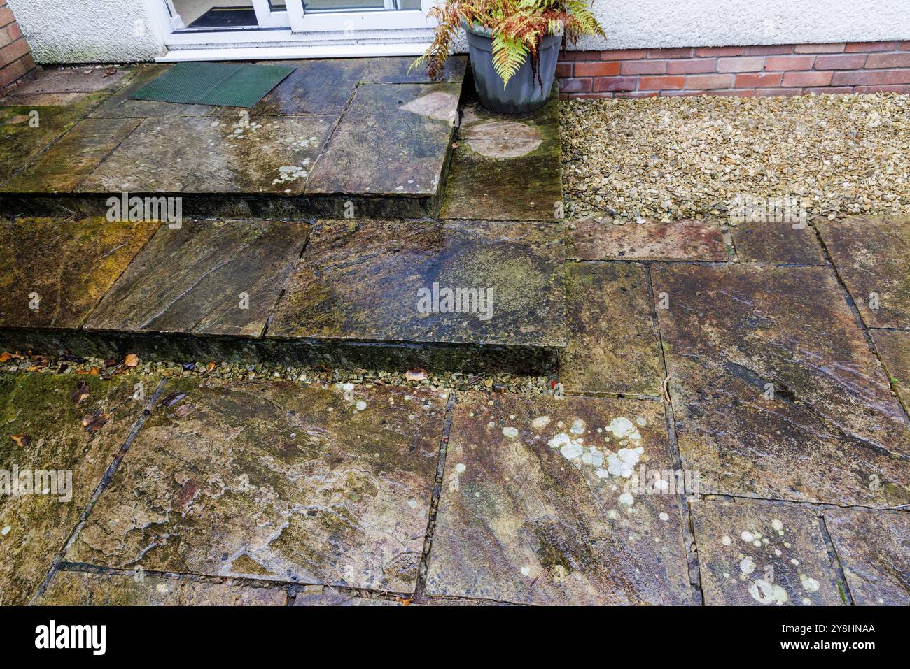 Patio sandstone steps and patio with algae and black spot needing ...