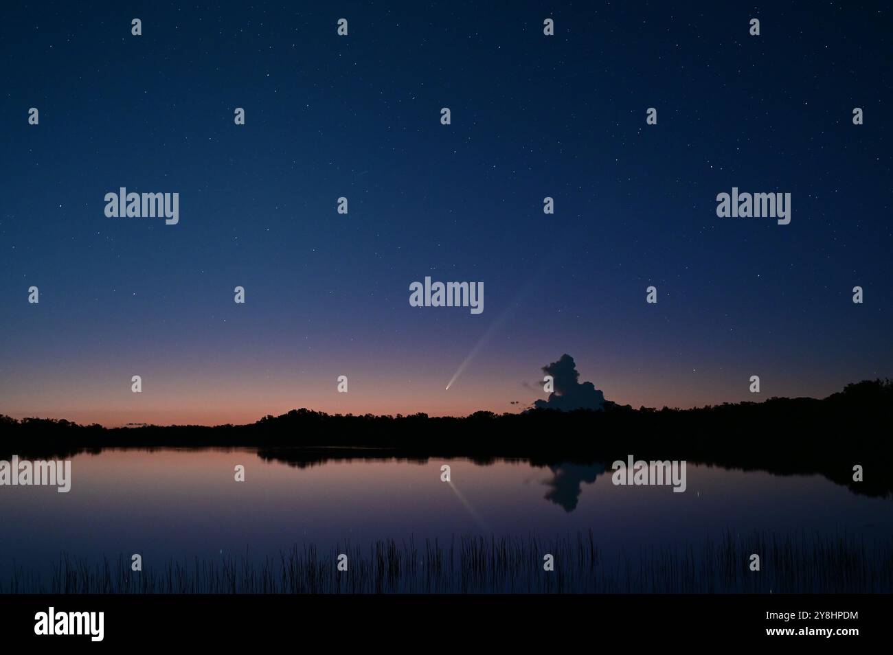 Comet Tsuchinshan-ATLAS rises in east over calm water of Nine Mile Pond ...