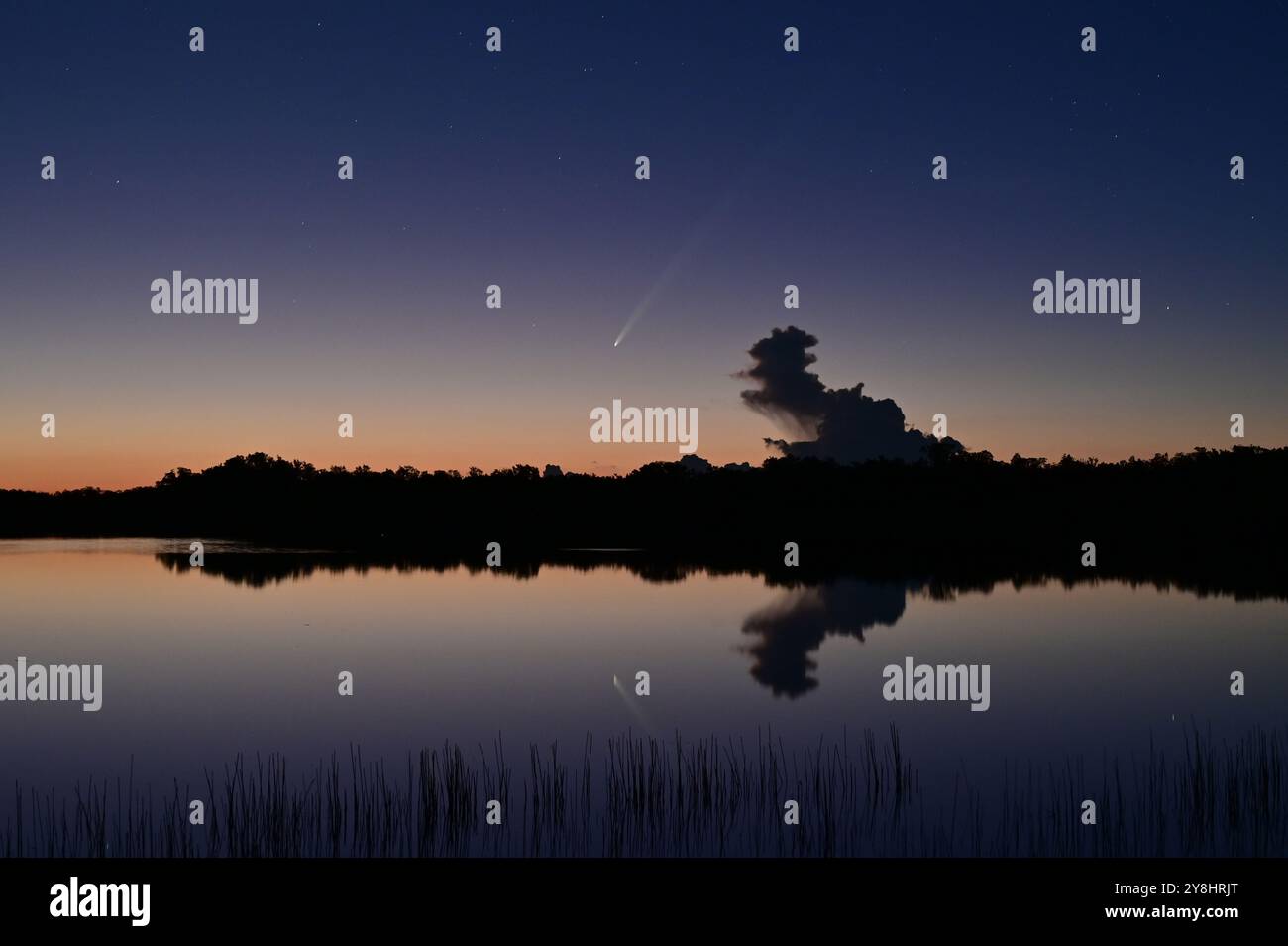 Comet Tsuchinshan-ATLAS rises in east over calm water of Nine Mile Pond ...
