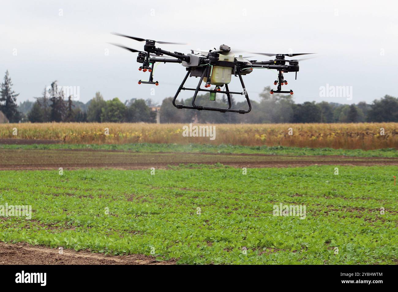 Agriculture drone during a crop protection procedure against plant ...