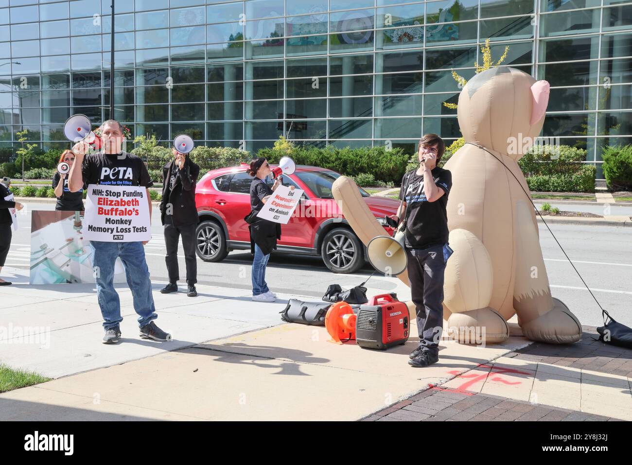 Chicago, USA. 05th Oct, 2024. Using massive inflatable monkeys, PETA ...