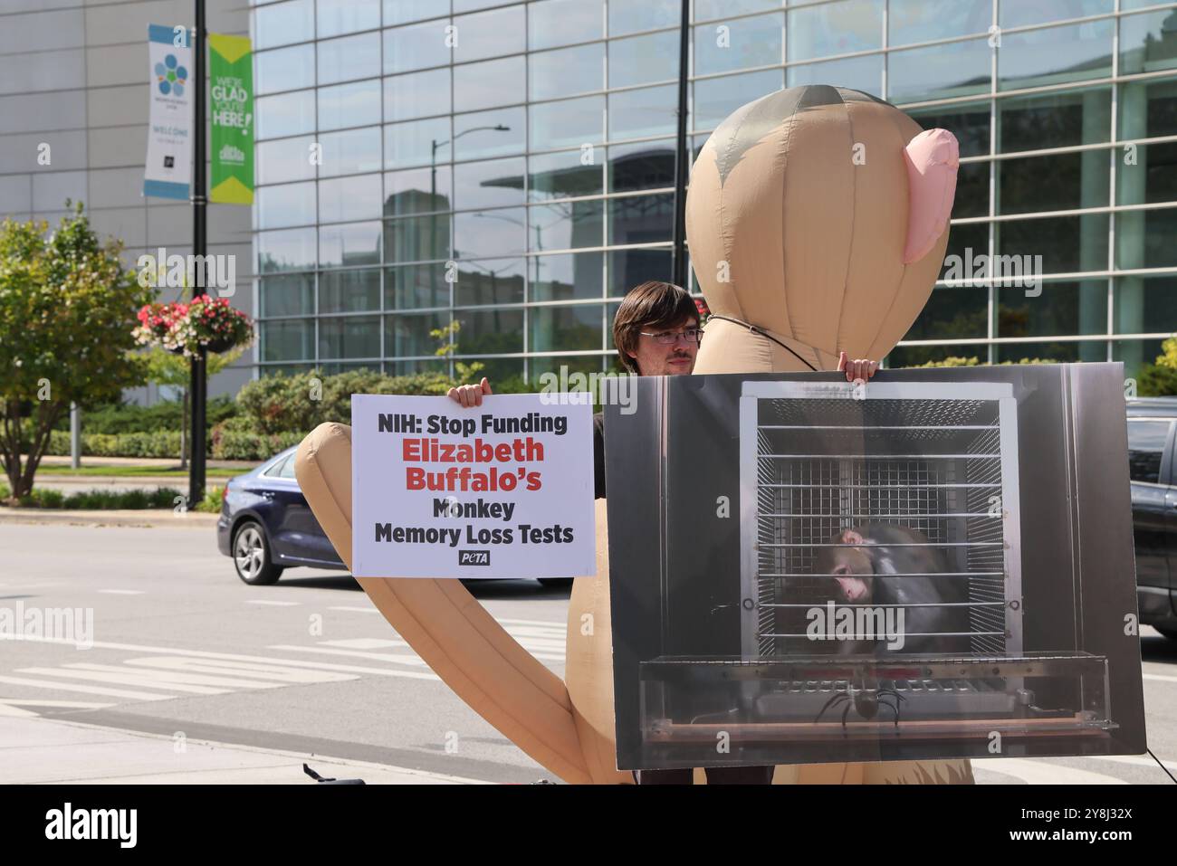 Chicago, USA. 05th Oct, 2024. Using massive inflatable monkeys, PETA ...