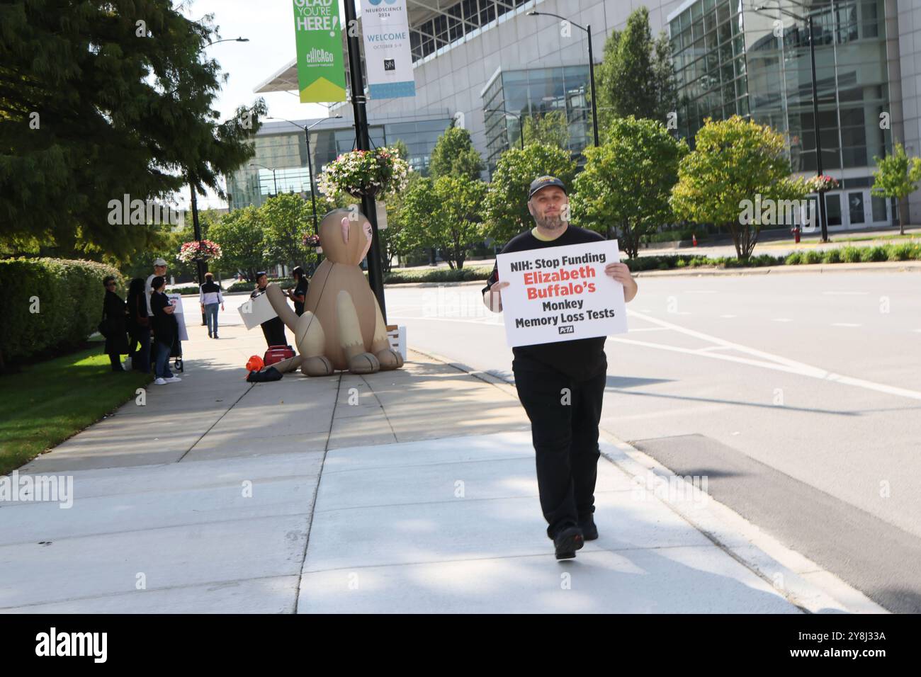Chicago, USA. 05th Oct, 2024. Using massive inflatable monkeys, PETA ...