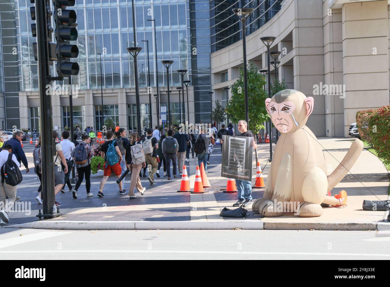 Chicago, USA. 05th Oct, 2024. Using massive inflatable monkeys, PETA ...