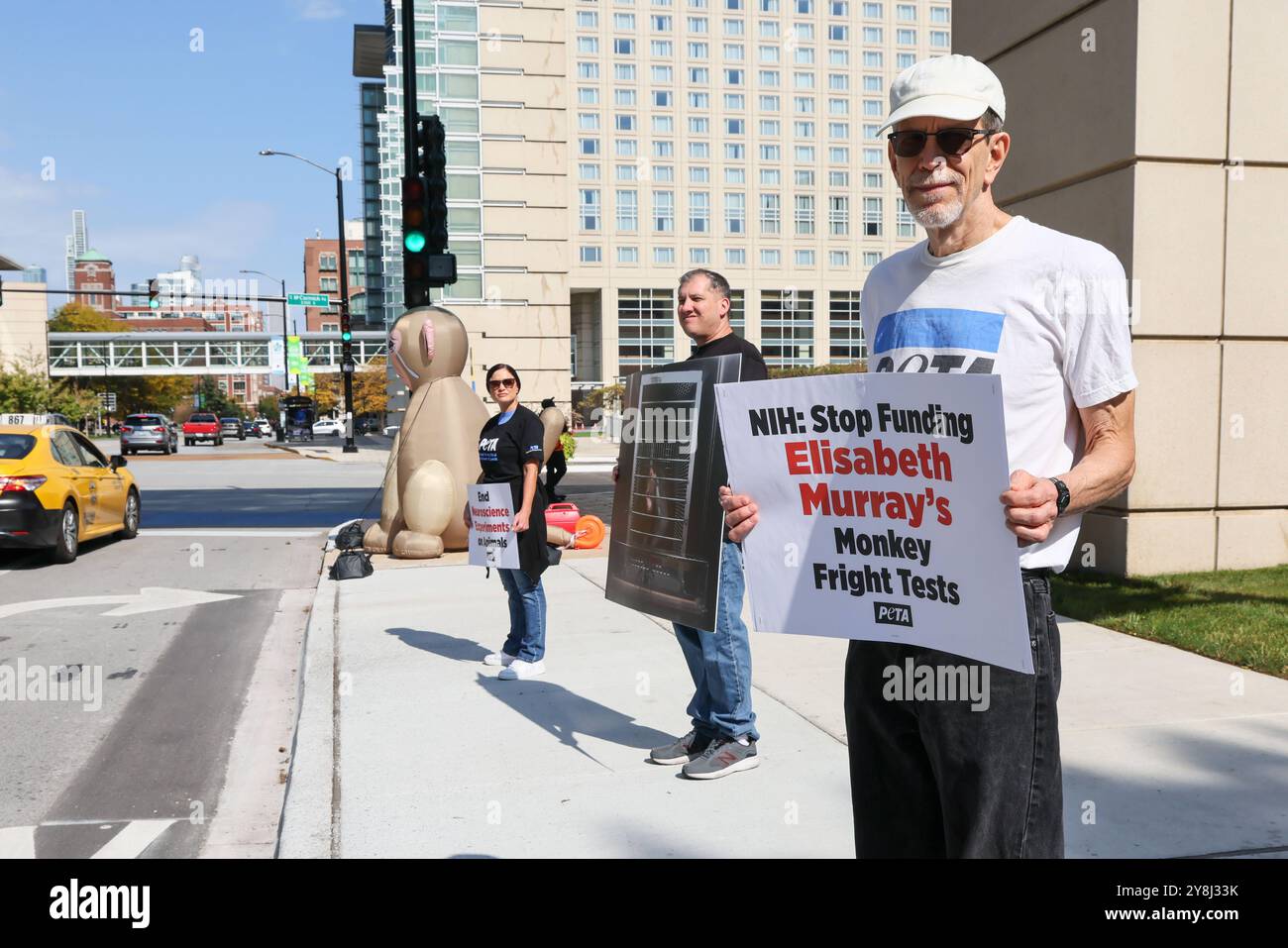 Chicago, USA. 05th Oct, 2024. Using massive inflatable monkeys, PETA ...