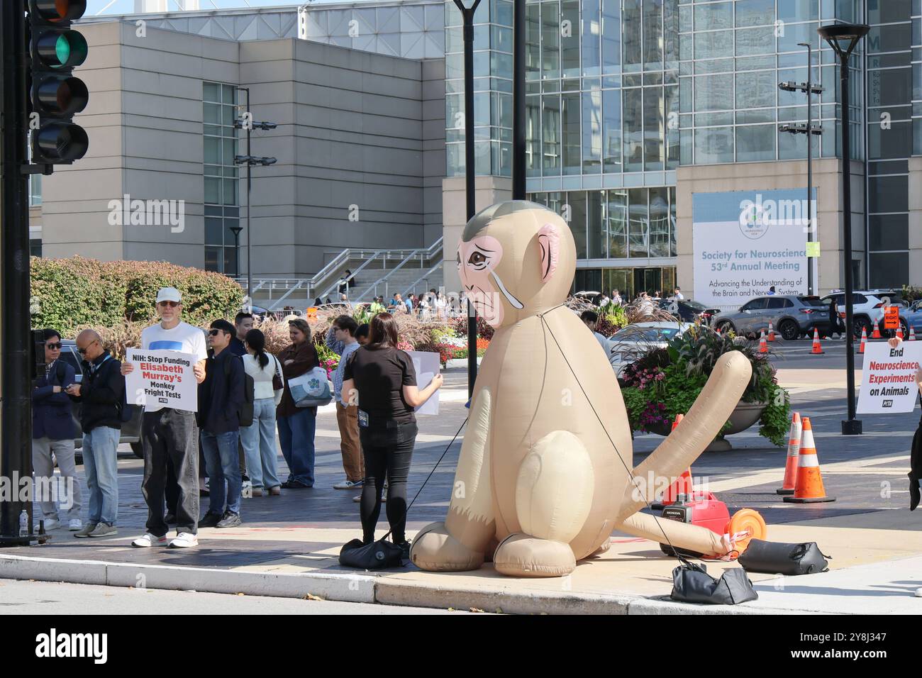 Chicago, USA. 05th Oct, 2024. Using massive inflatable monkeys, PETA ...