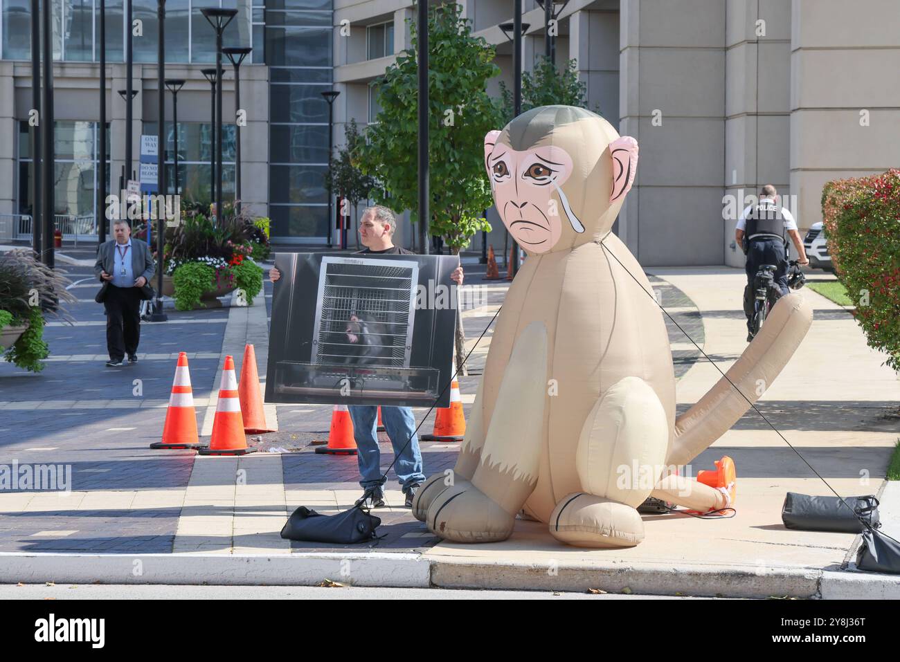 Chicago, USA. 05th Oct, 2024. Using massive inflatable monkeys, PETA ...