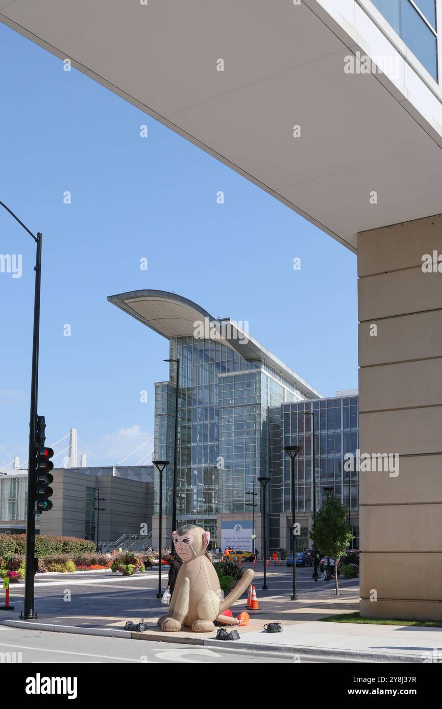 Chicago, USA. 05th Oct, 2024. Using massive inflatable monkeys, PETA ...