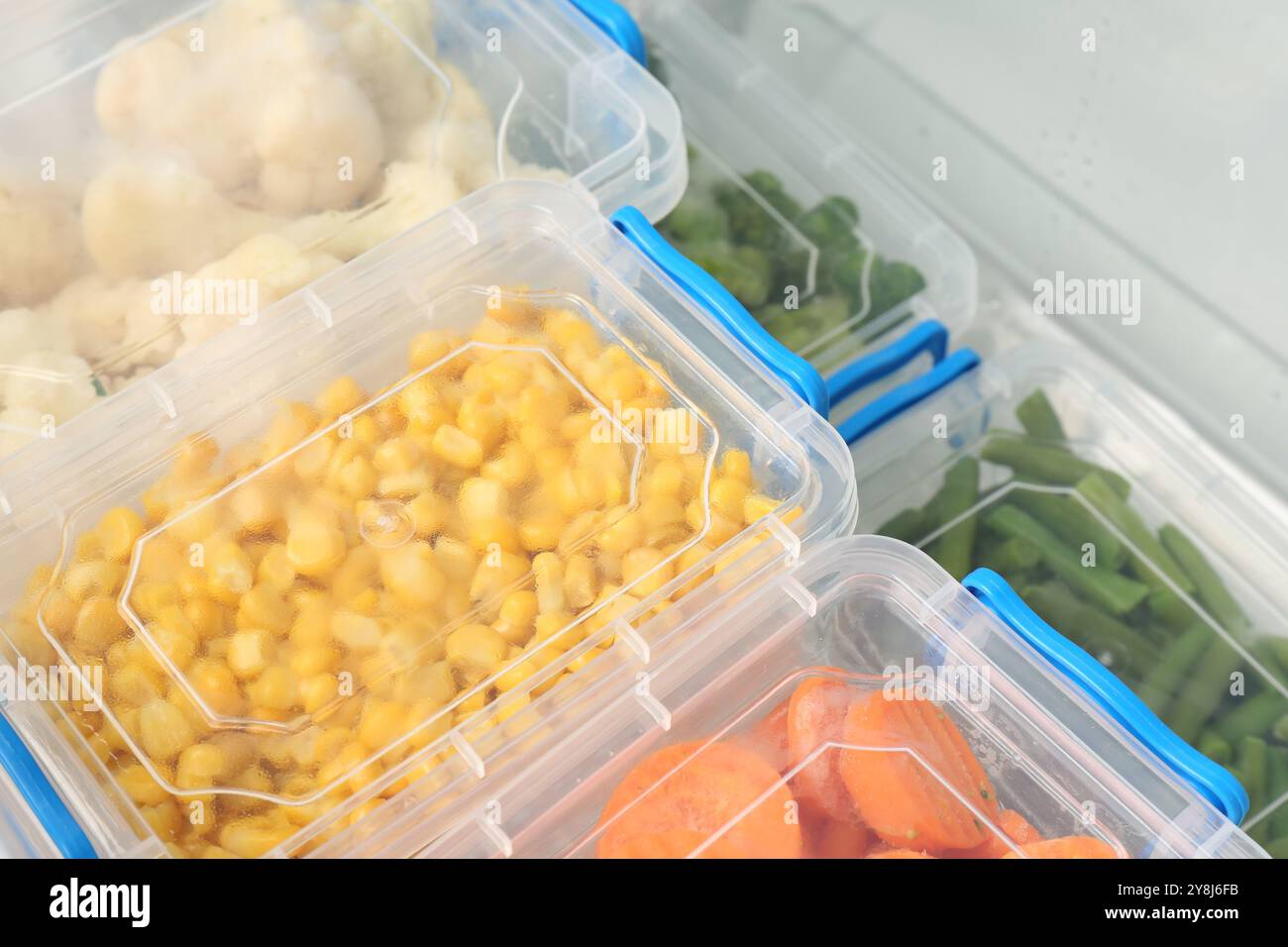 Plastic containers with different frozen vegetables in refrigerator ...