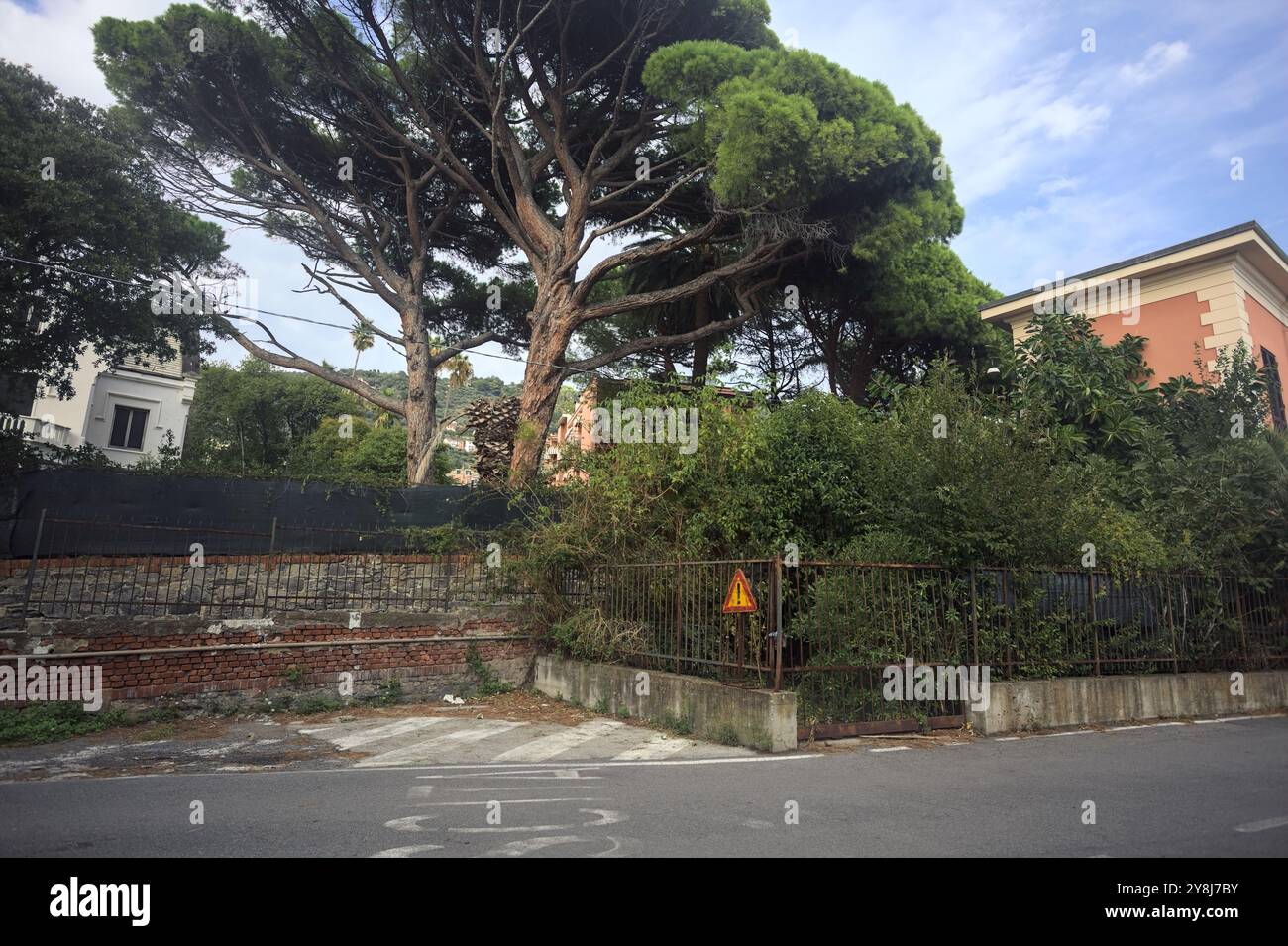 Abandoned building overrun by plants at the edge of a street in an ...
