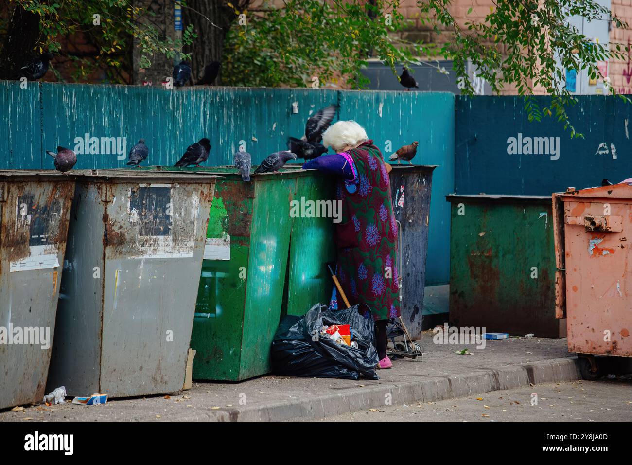 Homeless old woman looking into trash box in search for food ...