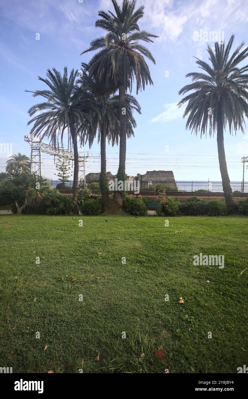 Lawn of a park in front of a railroad at sunset Stock Photo - Alamy