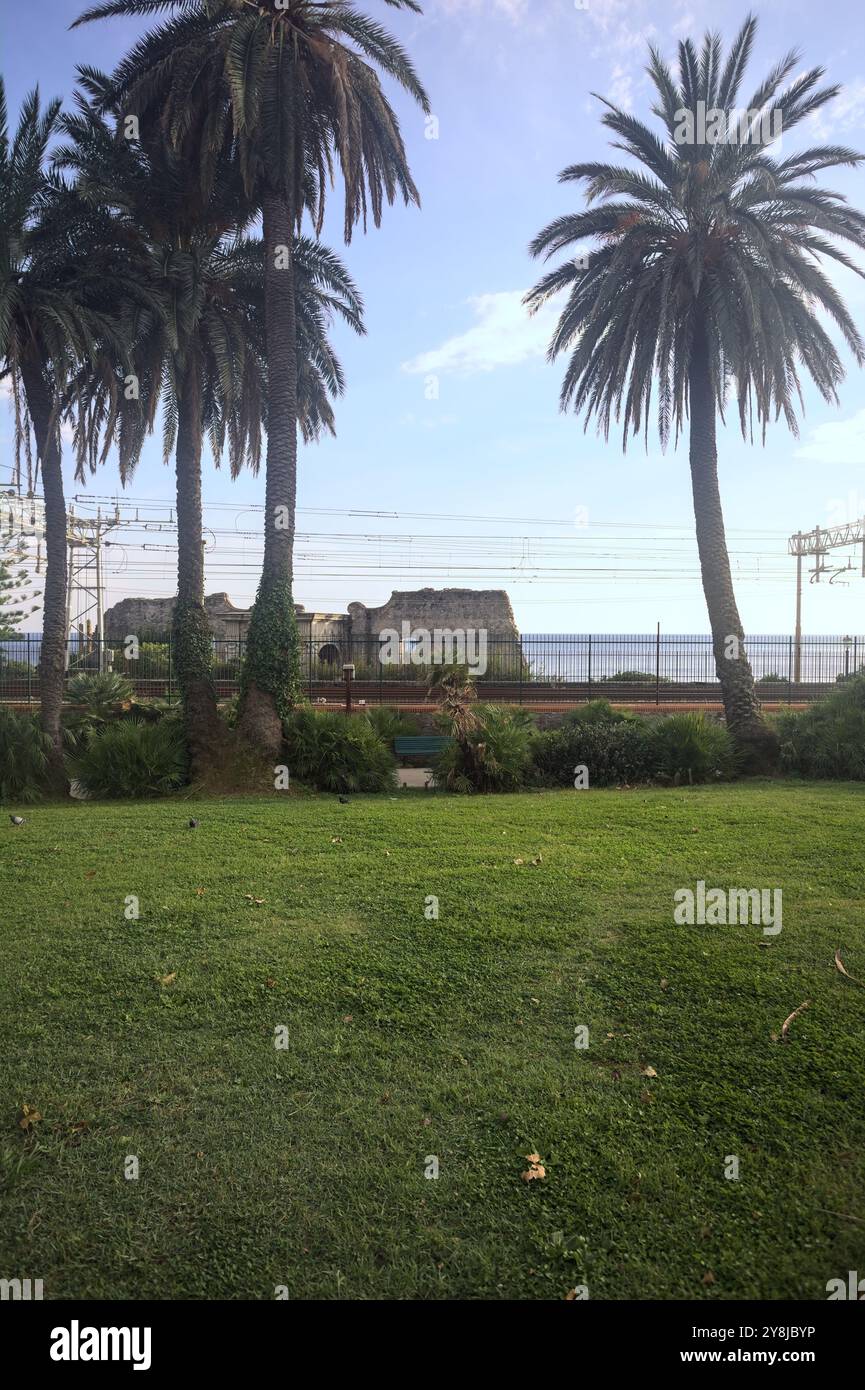 Lawn of a park in front of a railroad at sunset Stock Photo - Alamy