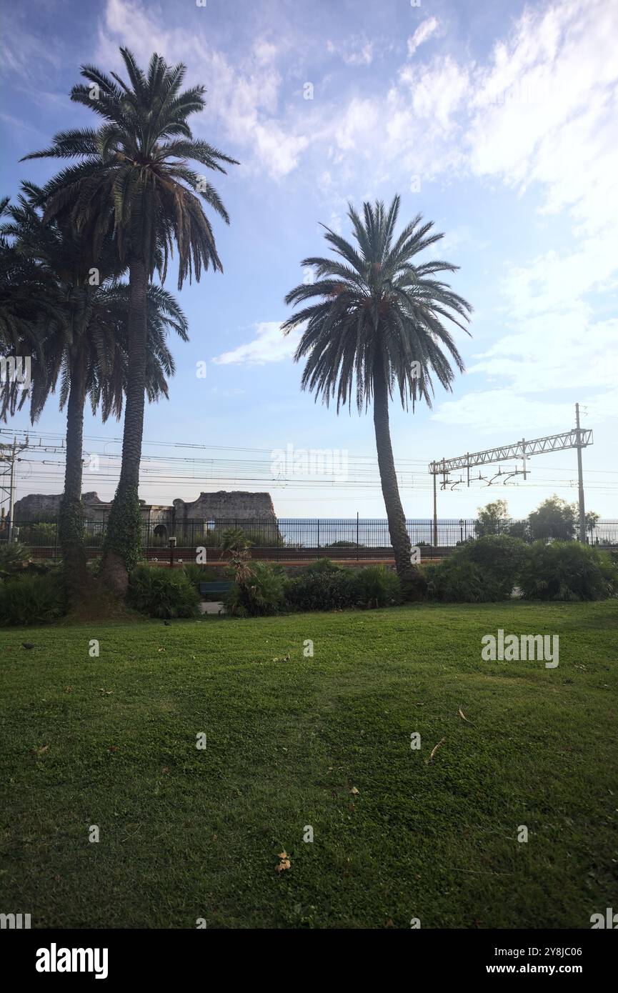 Lawn of a park in front of a railroad at sunset Stock Photo - Alamy