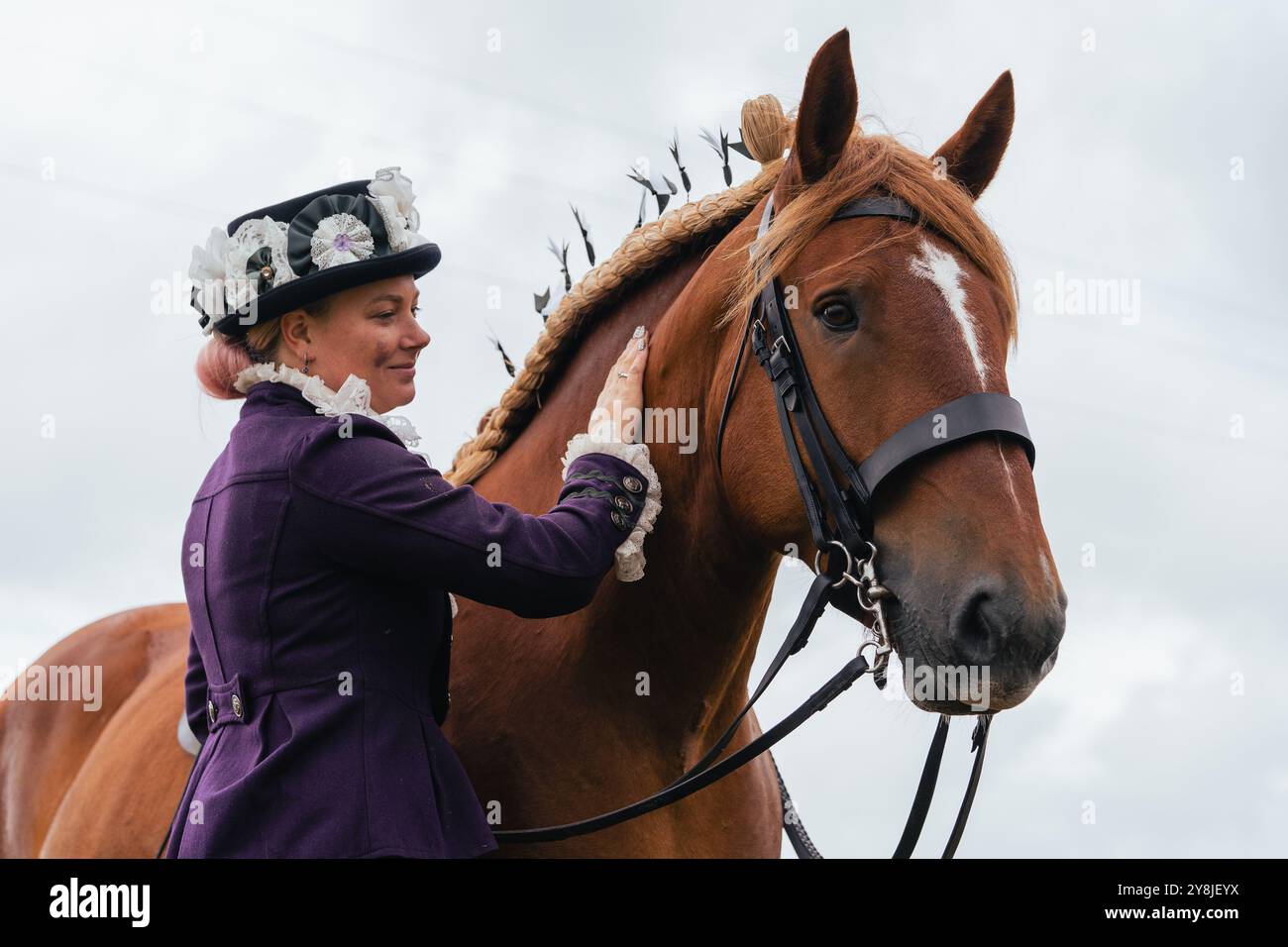 Traditional English horse riding and clothing, beautiful equestrian ...