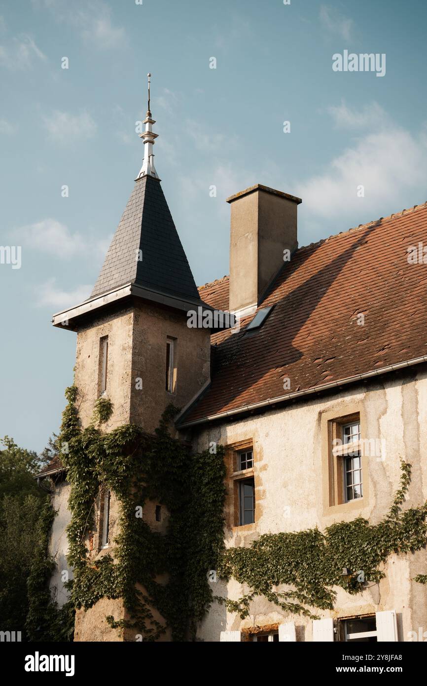 Rooftop spire on a French building, European rural architecture, slate ...