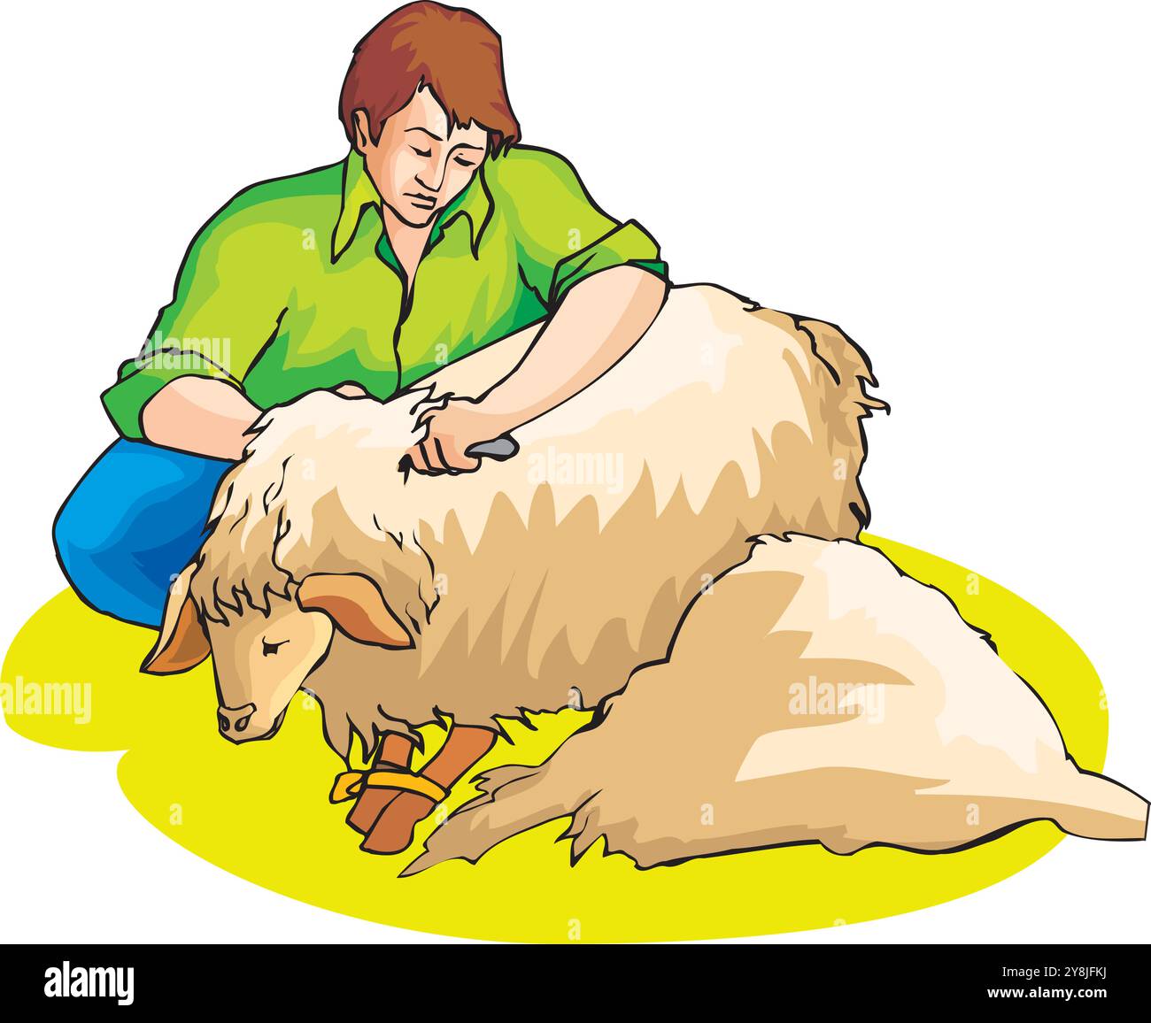 Farm composition with human character of worker shearing the sheep ...